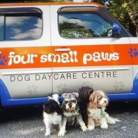 Welcome to Four Small Paws Dog Daycare Centre, where your Small Breed Dog will make new friends ...
