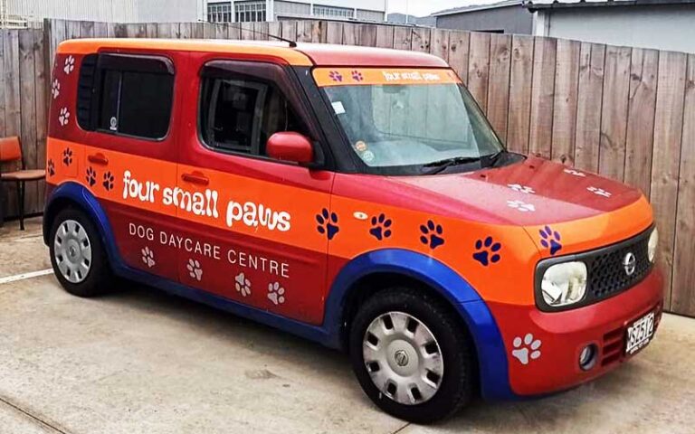 Small Breed Dog Daycare and Boarding Centre - Four Small Paws – Upper Hutt